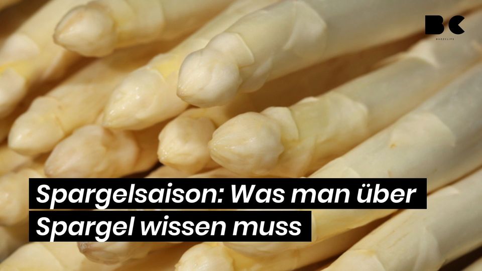 Spargelsaison: Was man über Spargel wissen muss - BuzzClips