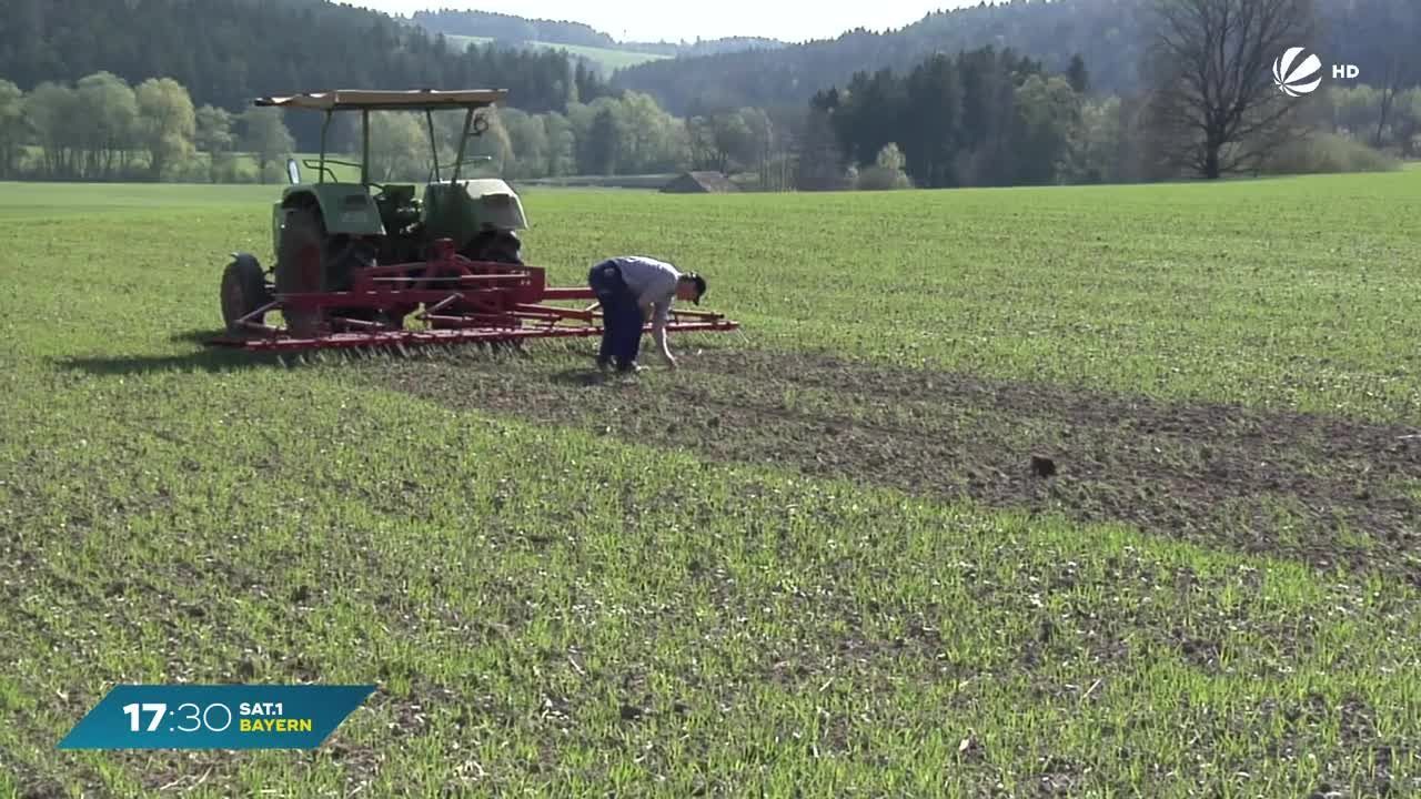 Landwirtschaft in Bayern: Immer weniger Bauernhöfe
